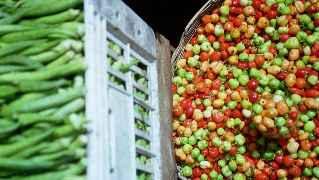 Inside the world’s hottest peppers and their fiery secrets