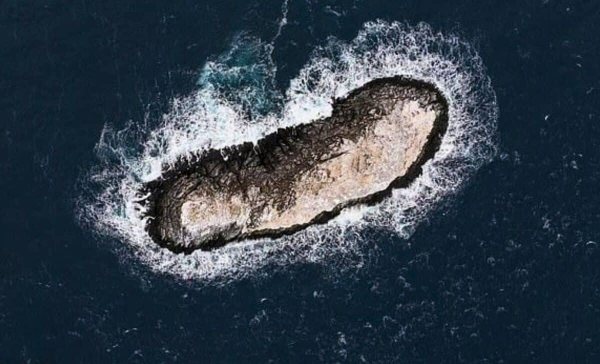 Scientists fled a storm into Antarctica’s danger zone and found a ...