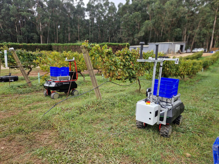Coches autónomos y robots del CSIC que usan IA para combatir plagas y ...