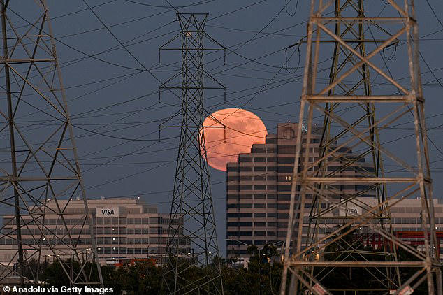 Did you see the blue moon? Rare phenomenon will light up our night sky ...