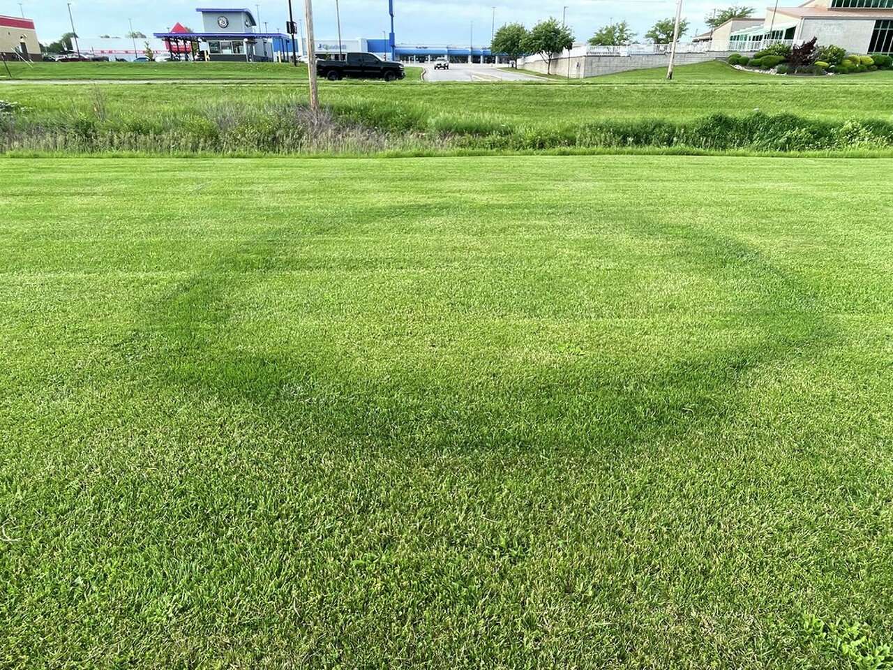'Fairy rings' common, but not at all magical