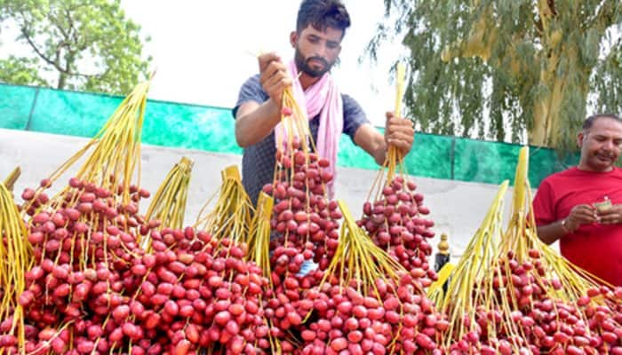 Over 75.5 lakh street vendors avail 112 lakh loans under PM SVANidhi
