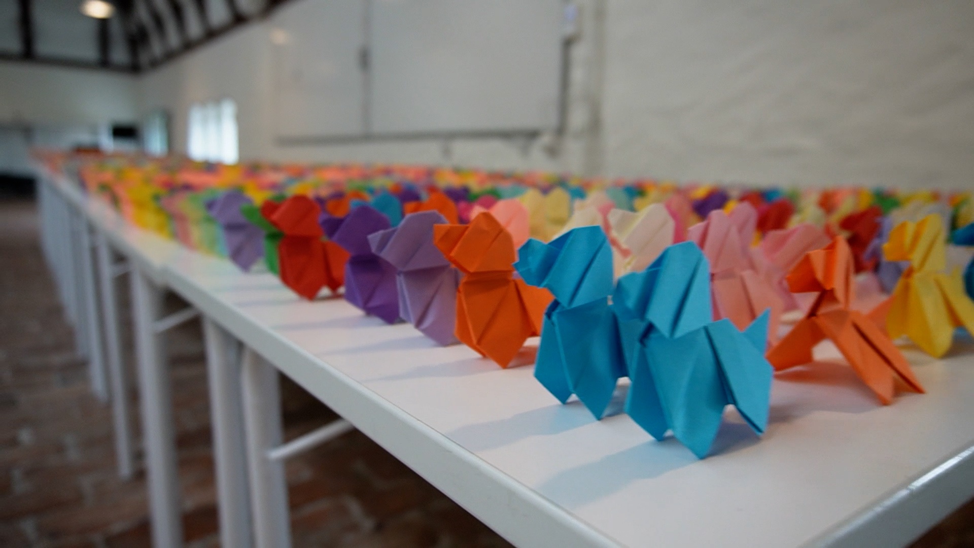 Largest display of origami dogs - 3,134 by Aria Omkrets and Campus ...