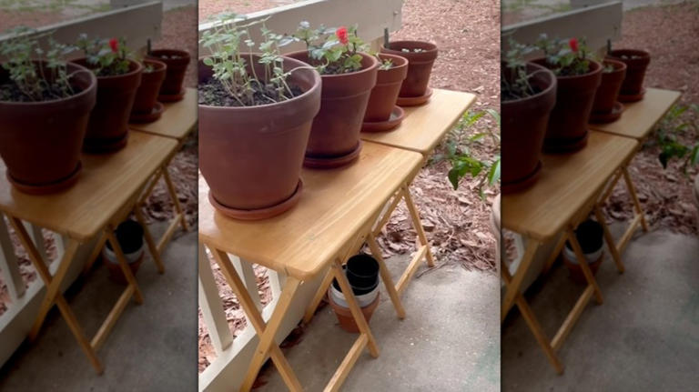 Upcycle an old TV tray into a simple plant stand for your patio