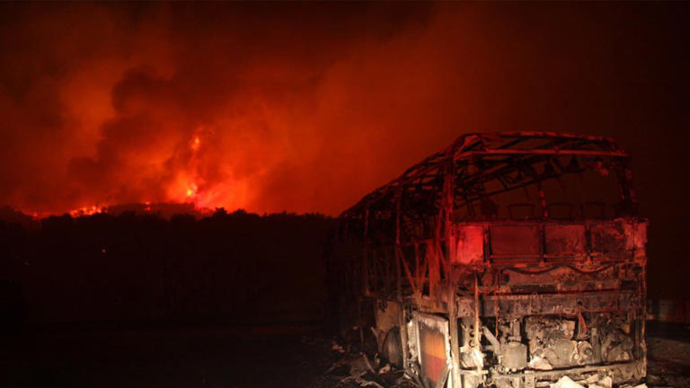 Turkiye: 8 dead, 33 injured as tourist bus catches fire after crash