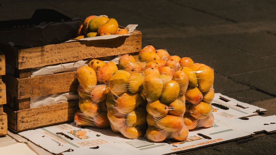 Mango cultivation a very special part of India's farm economy: PM