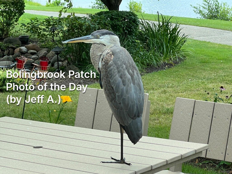 🌱 Patch AM: Can Bolingbrook finish their postseason run with a ...