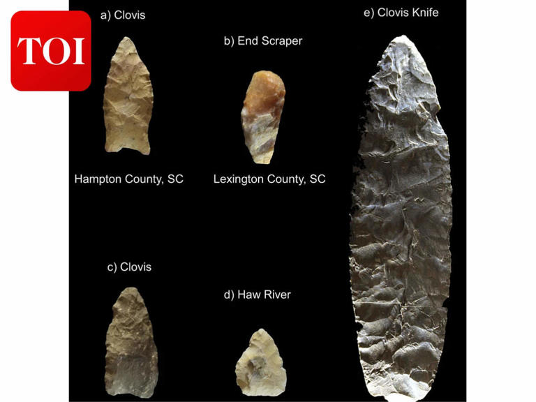 Scientists uncover direct evidence of Ice Age megafauna hunting in the ...