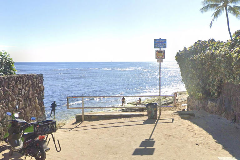 Man, 38, seriously injured after being mauled by ‘aggressive’ 8-foot ...