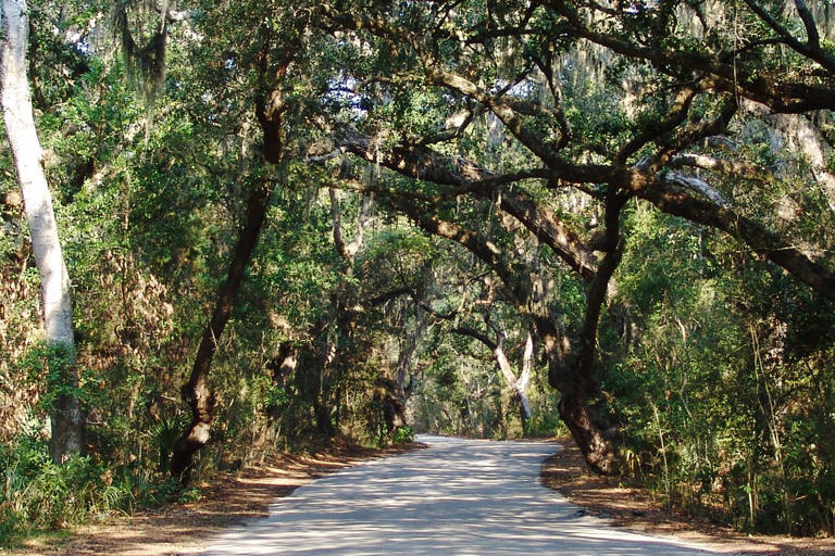 This Florida state park has some of the best beaches in the state—with ...