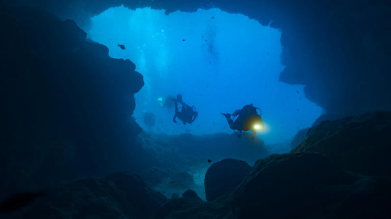 Scientists have detected a massive deep-sea creature off the coast of ...