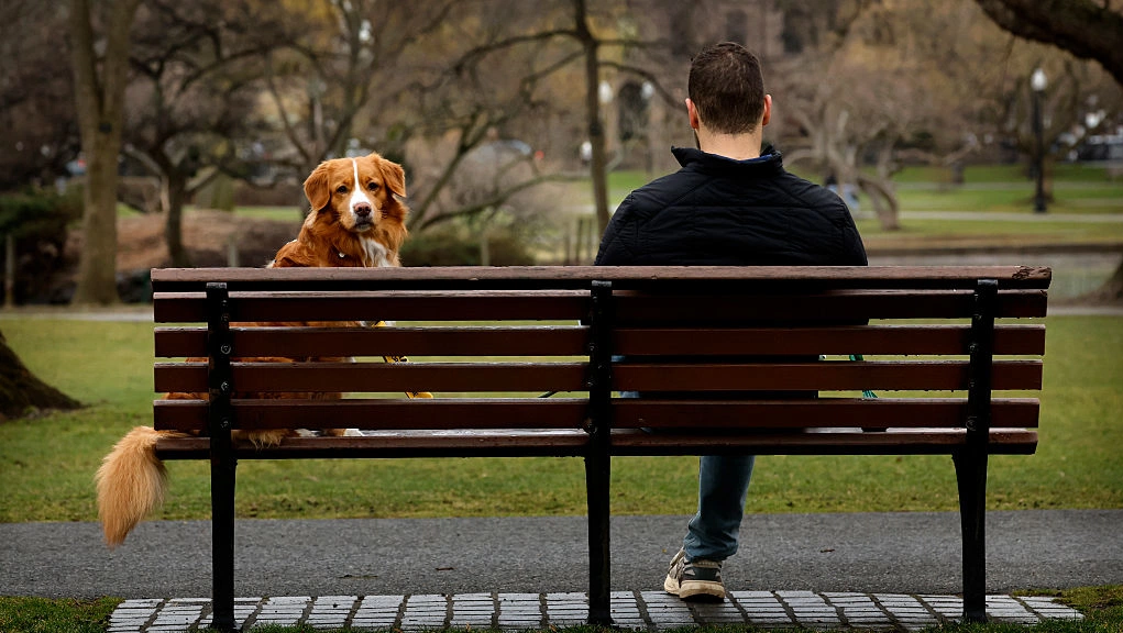 17 habits of natural dog people