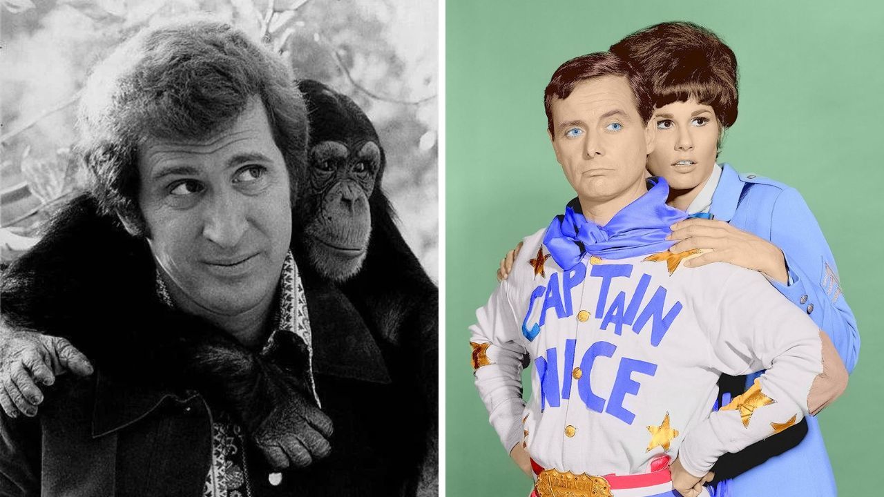 One-season wonders? These 22 shows vanished without warning