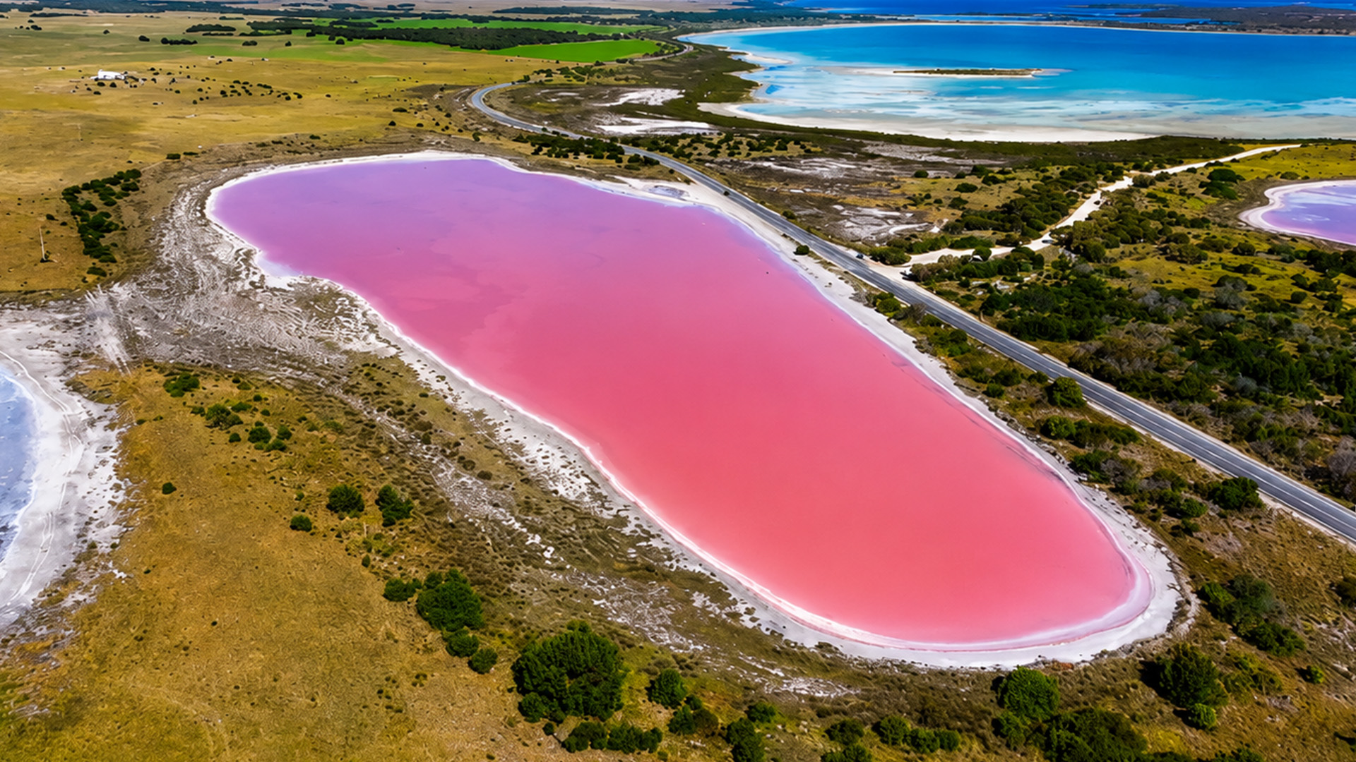 Why is this pink lake so famous in Australia?