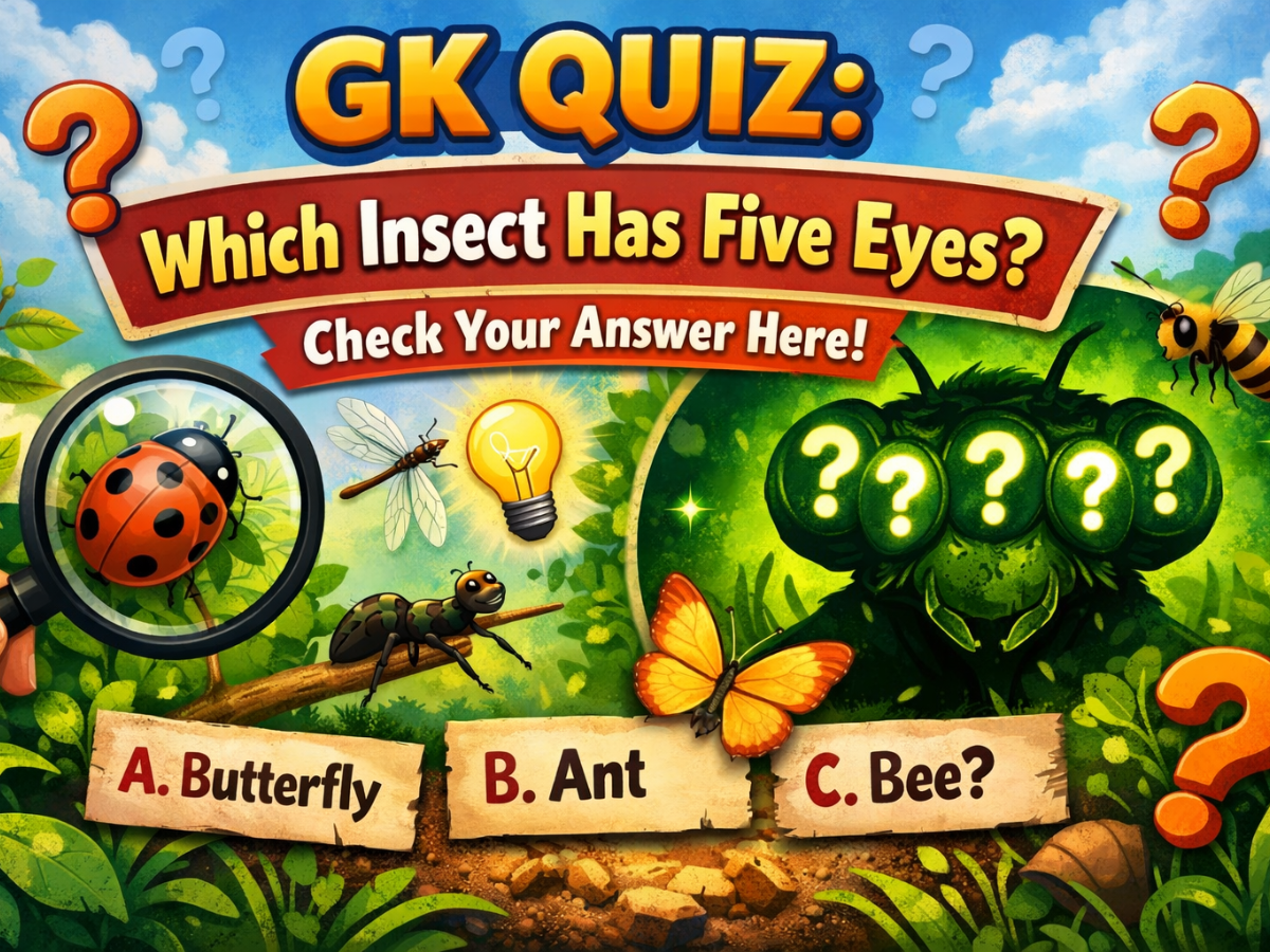 GK quiz: Which insect has five eyes? Check your answer here