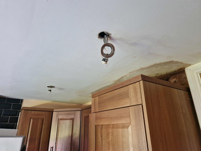 'It's unlivable': Edinburgh man says mouldy and damp-ridden council ...