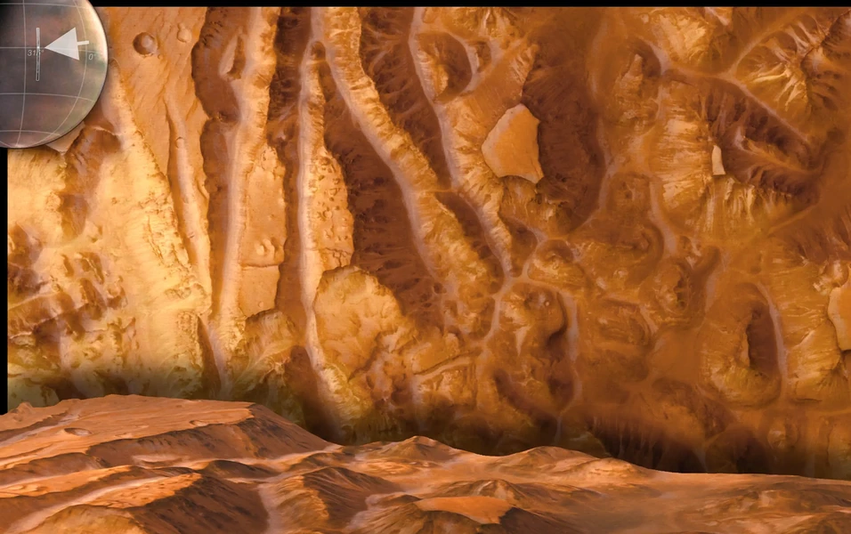 Scientists find fungi that could make Martian soil fertile