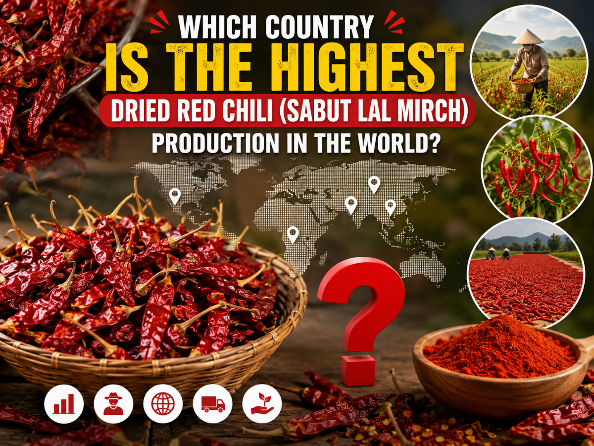 Which Country is the Highest Dried Red Chili (Sabut Lal Mirch ...