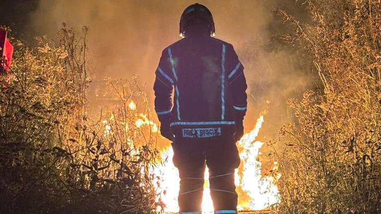 Nature reserve walkway 'severely damaged' in blaze