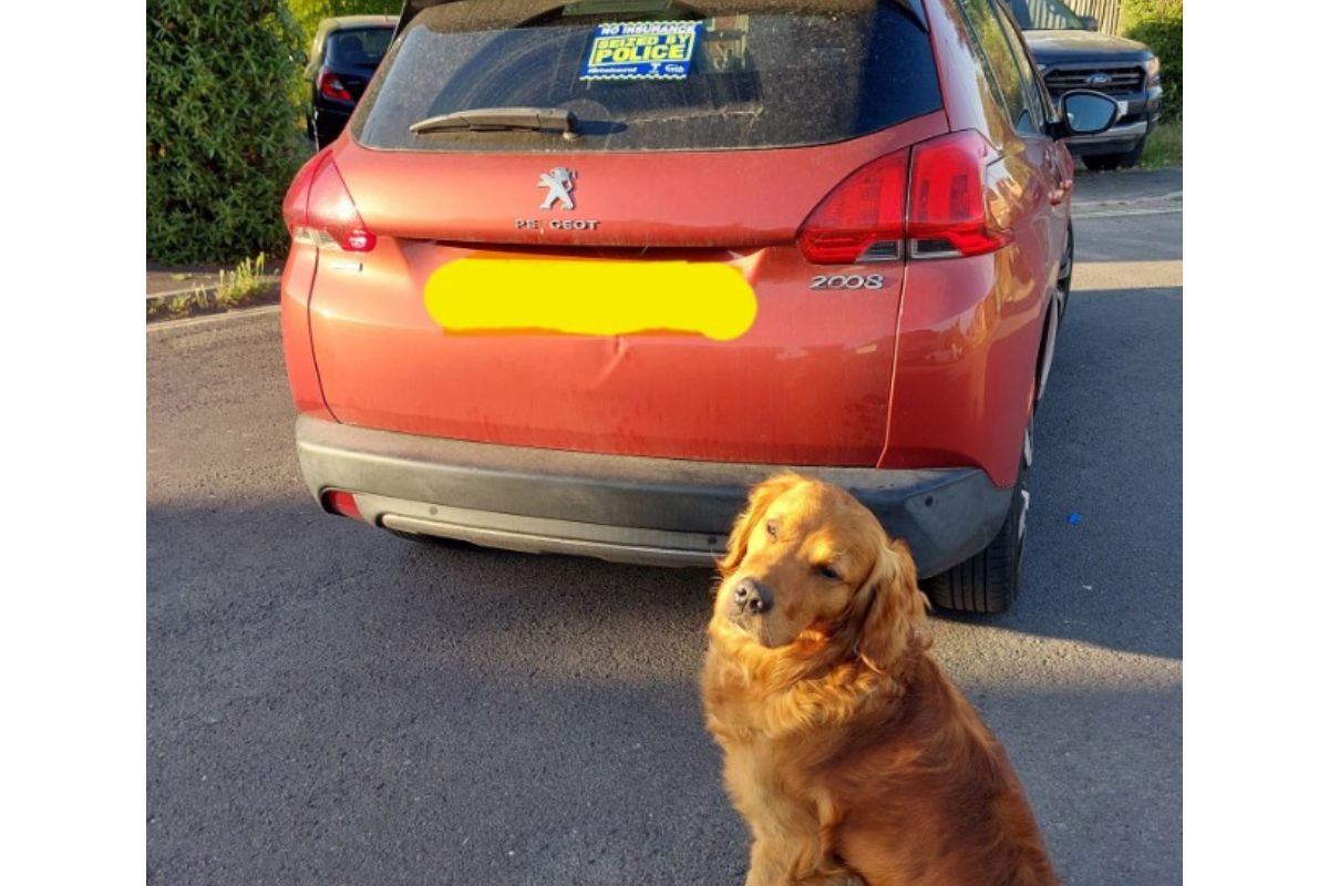 Suspicious driver arrested after police unit discover Class A drugs ...