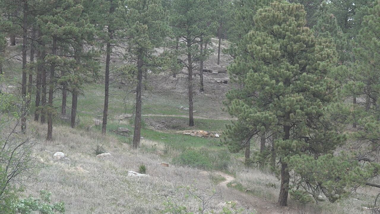 Pennington County Sheriff’s Office: Zero tolerance for illegal fires ...