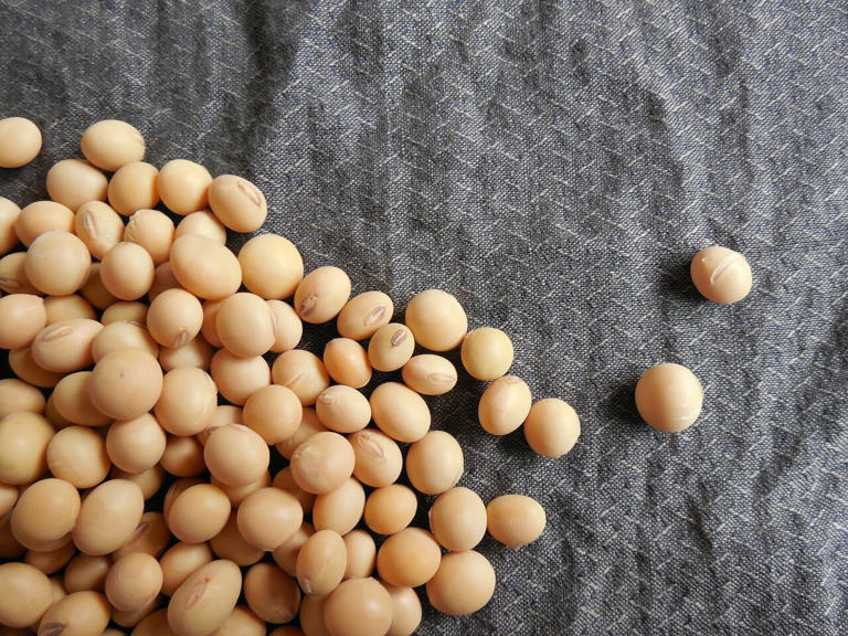 Why many fungicide-treated soybean seeds may boost harvests but not ...