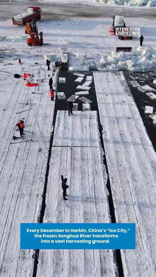 Building an ice city