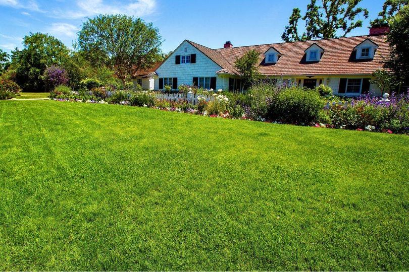 Lawns will grow greener grass if gardeners do an important task in June