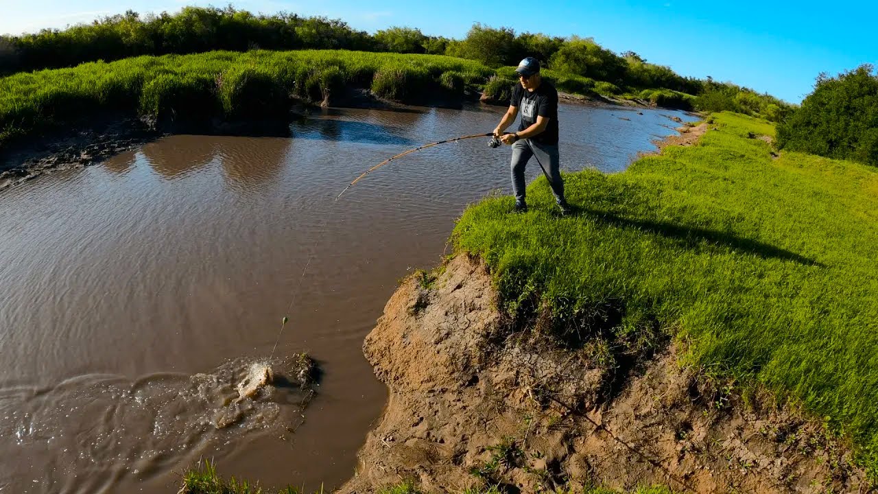 Buscan pique en un arroyo y capturan bagres sapos