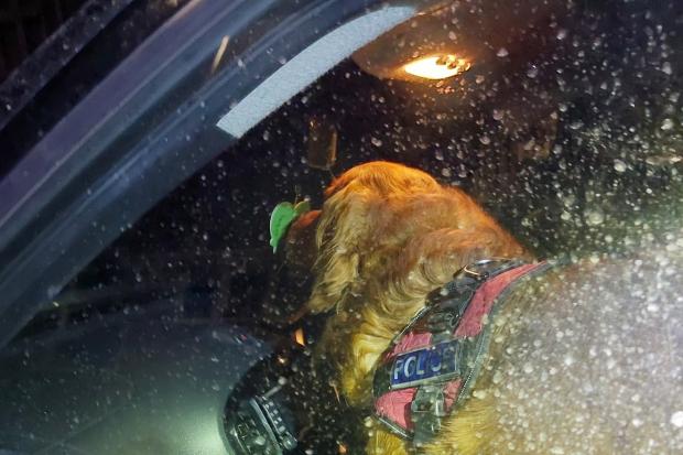 Police dog helps sniff out suspected Class A drugs in Eastleigh