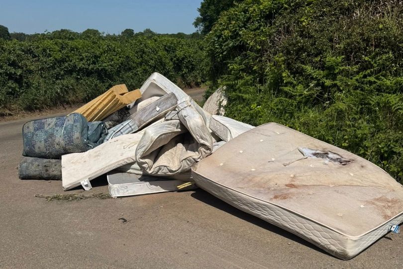 Council investigating after 30 'dirty' mattresses illegally dumped in ...