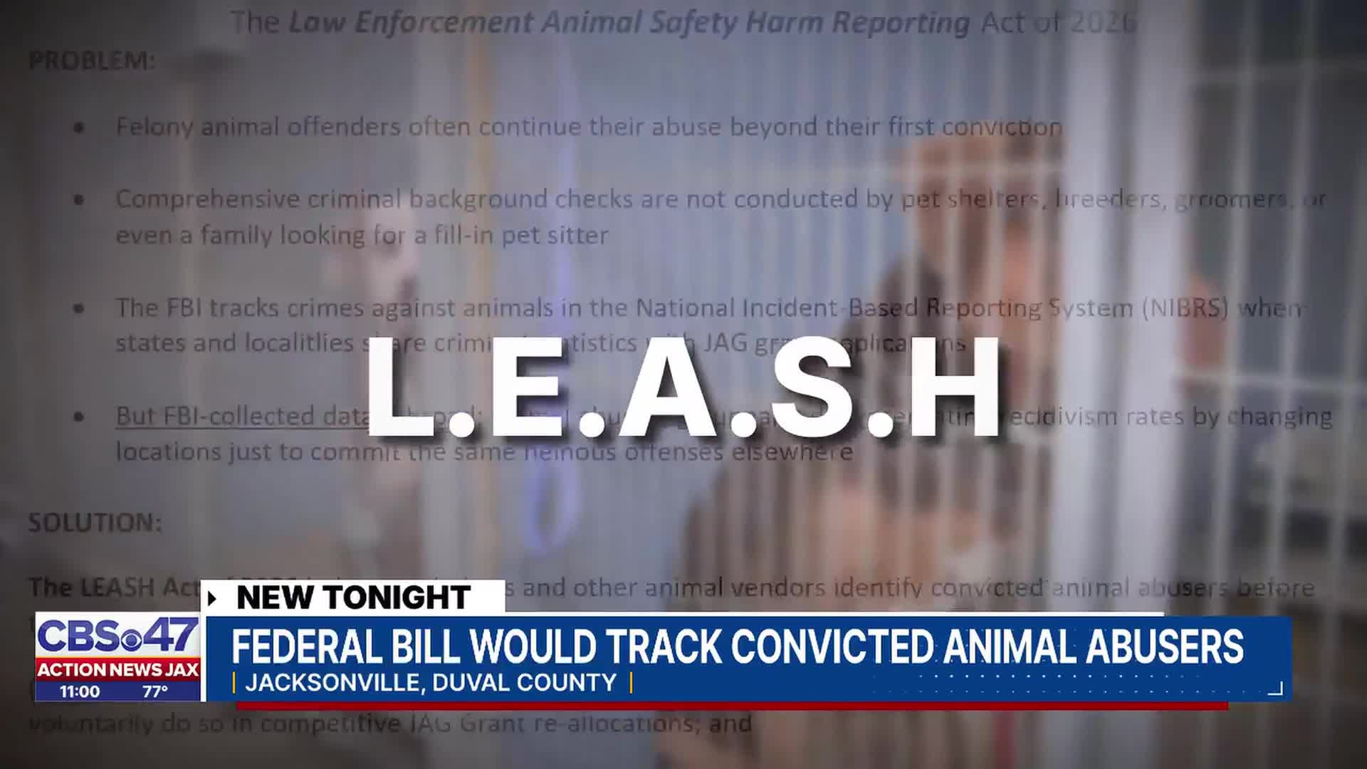 ‘It’s our duty’: Bill requiring each state to create animal abuse ...