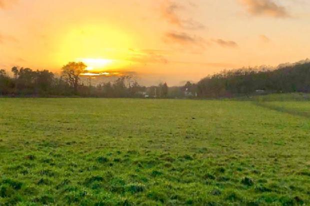 The South East London area where locals say Henry VIII proposed to one ...
