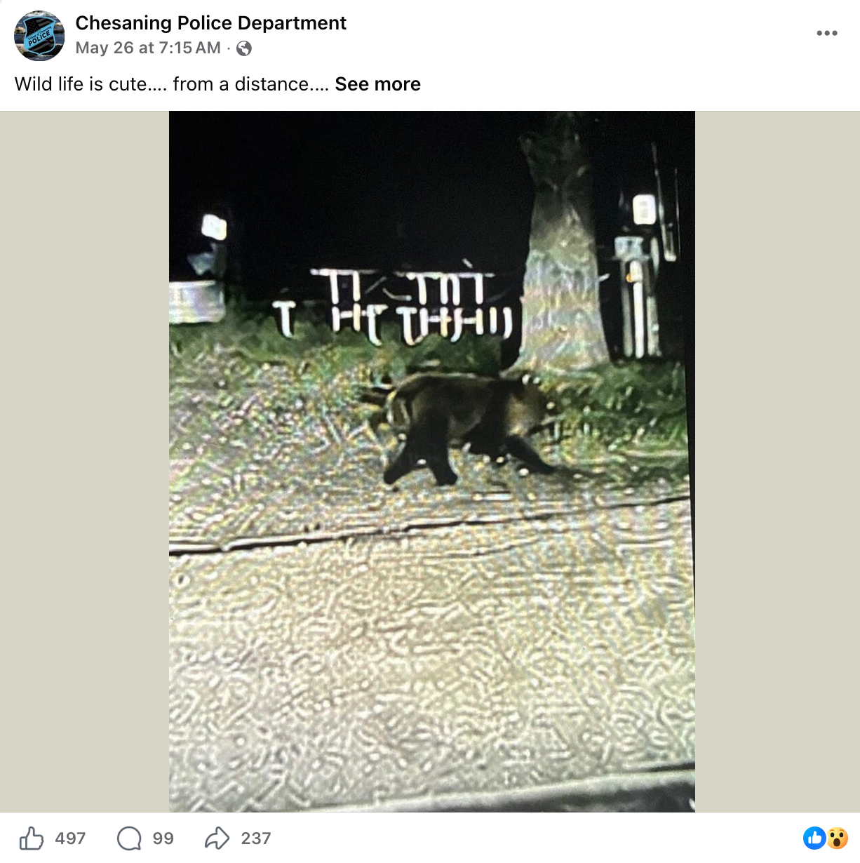 Bear seen wandering through mid-Michigan park as police urge caution