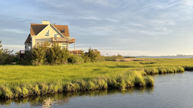Delaware's most beautiful islands feature tranquil reserves, breezy ...