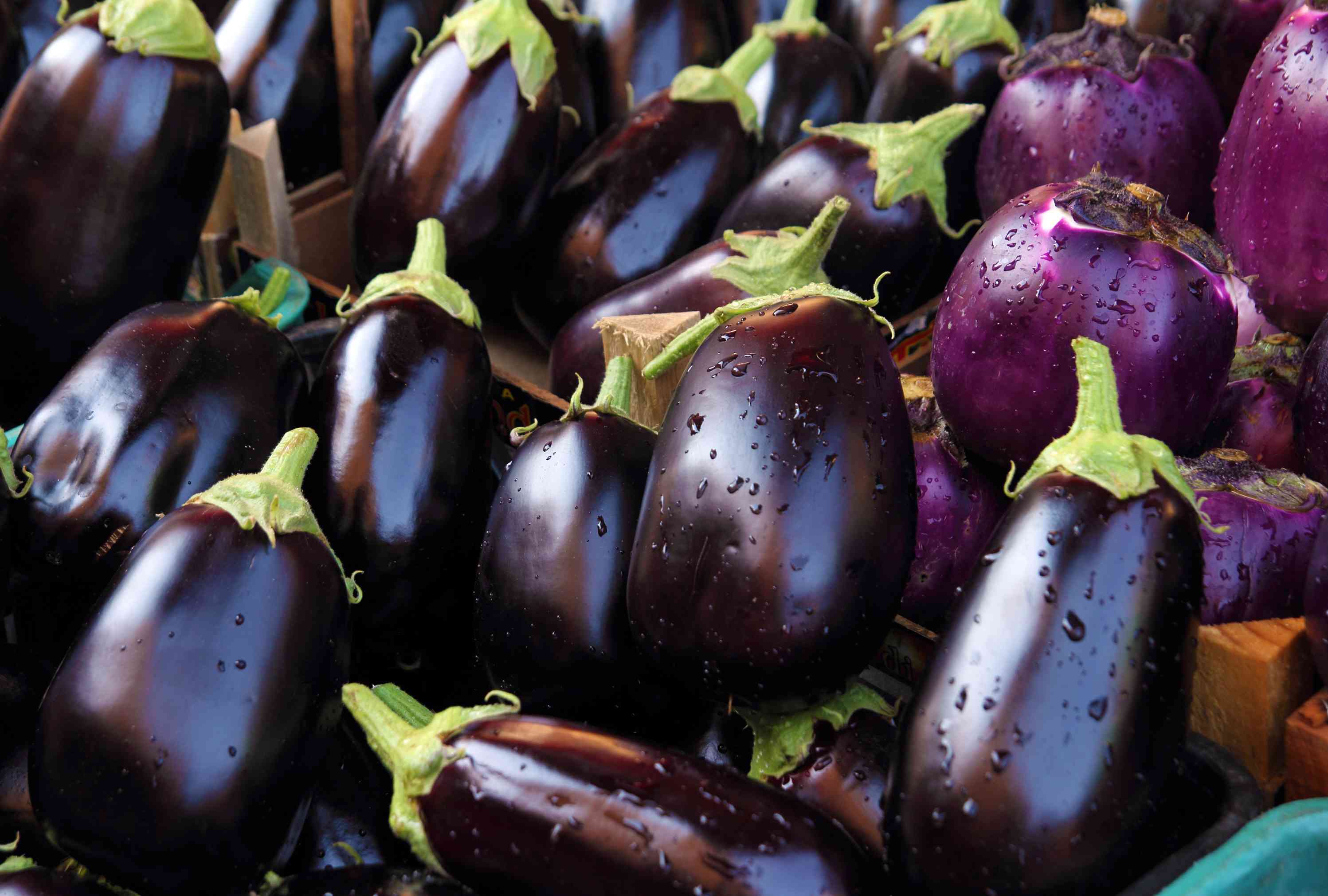 Why this summer vegetable hates the fridge, according to a farmer