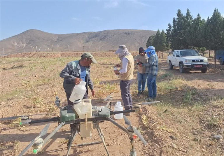 Locust army swarms Iran as farmers battle to save their crops