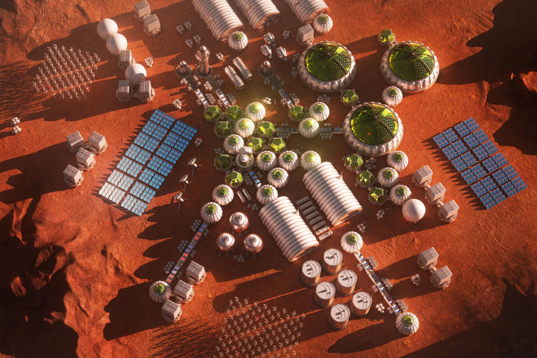 Scientists say they’ve found fungi that turn dead Martian soil into ...