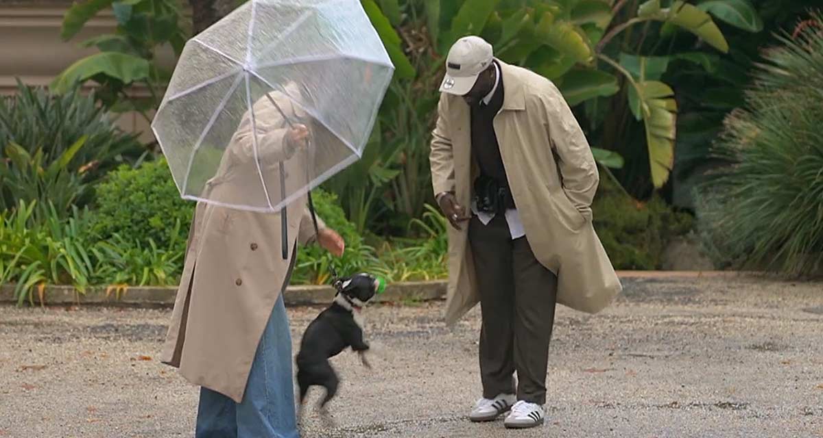 Mariés au premier regard : Stéphane rejette le chien d'Estelle (spoiler)