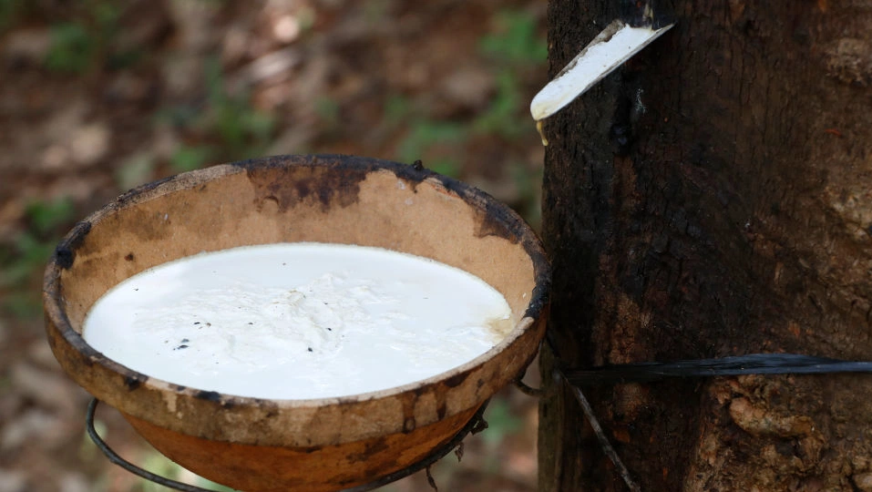 Why natural latex might be your dream mattress