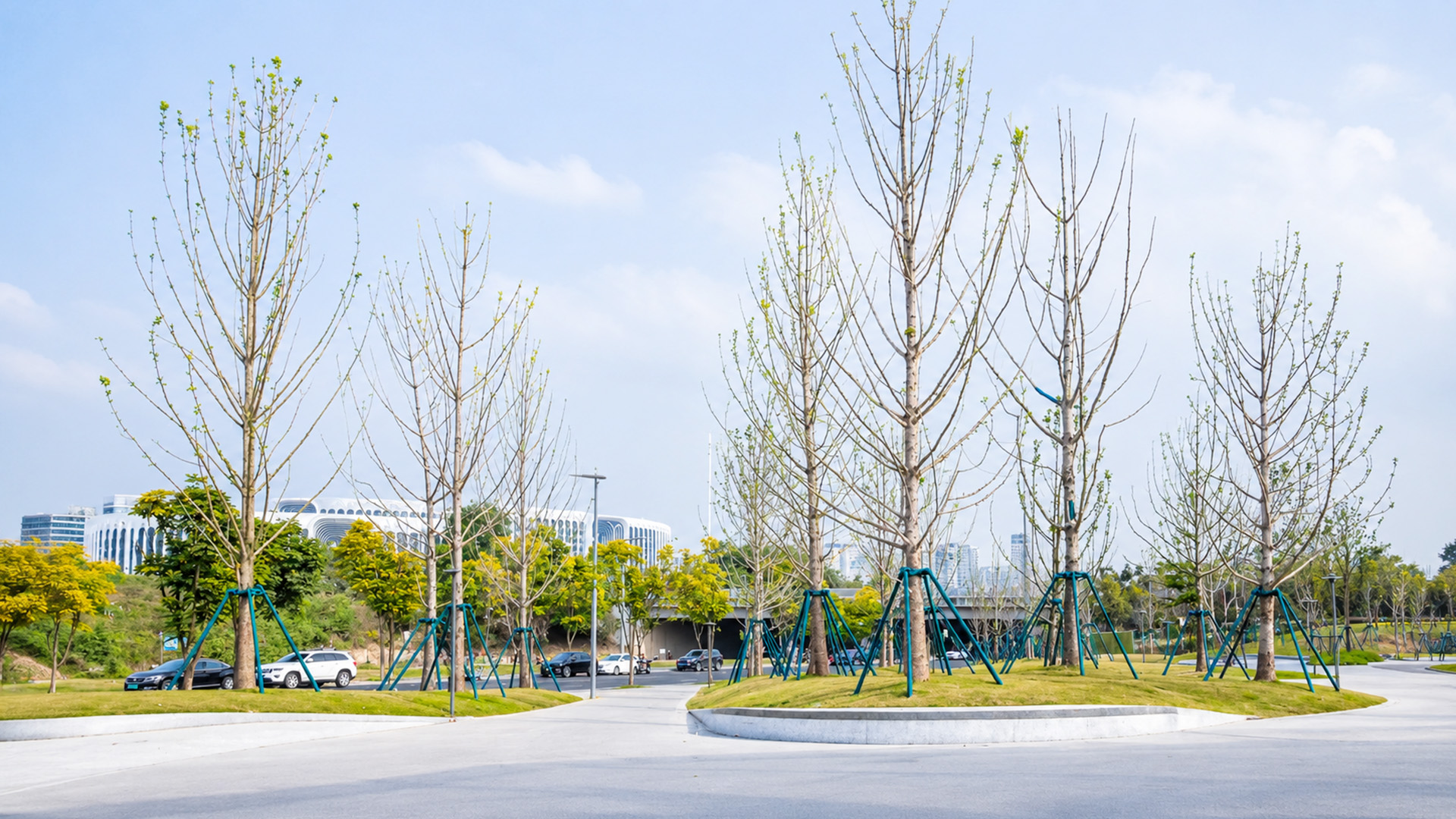 China’s massive green project is just beginning to bloom