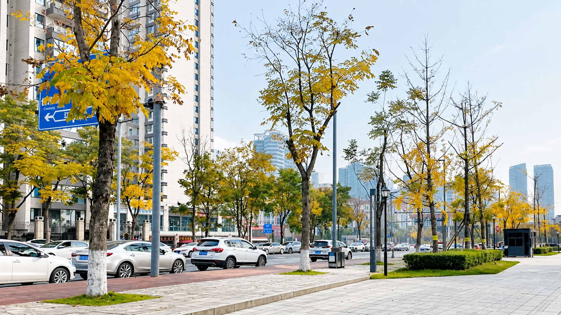 China’s golden season turns ordinary streets into attractions