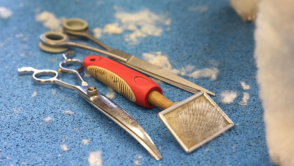 Keeping your dog happy with smart grooming care