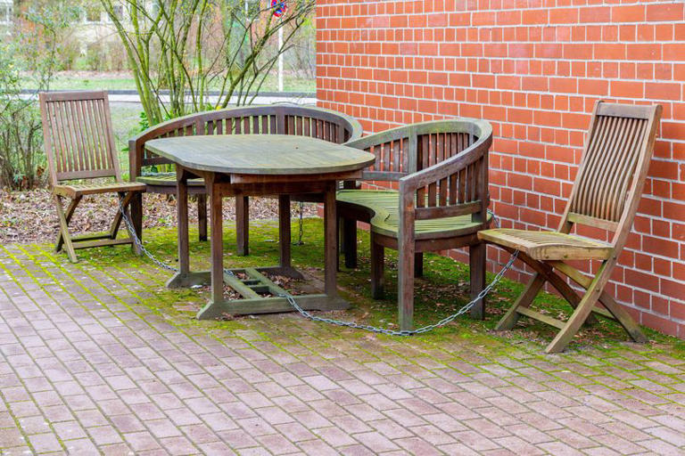 49p staple we all have in the fridge will clear moss from patios and ...