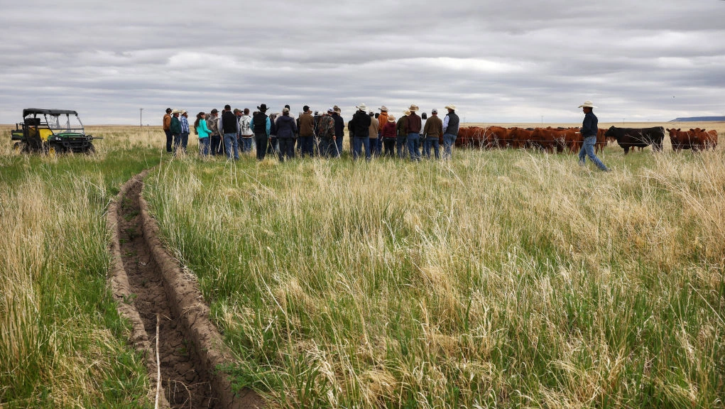 Sustainable cattle farming made simple for modern ranchers