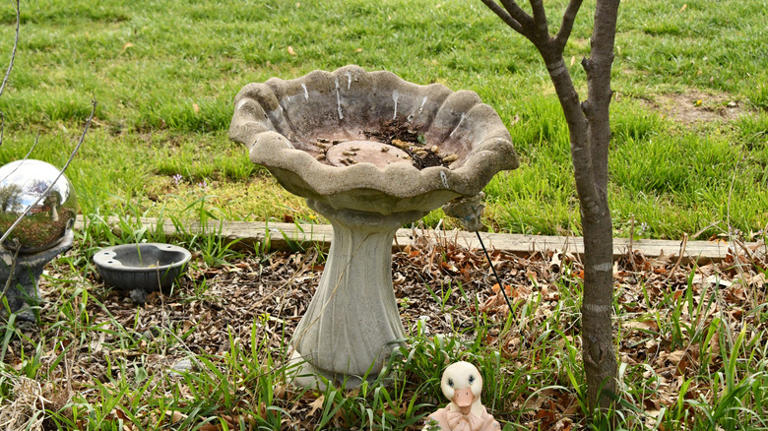 Upcycle an old bird bath base into an adorable water feature