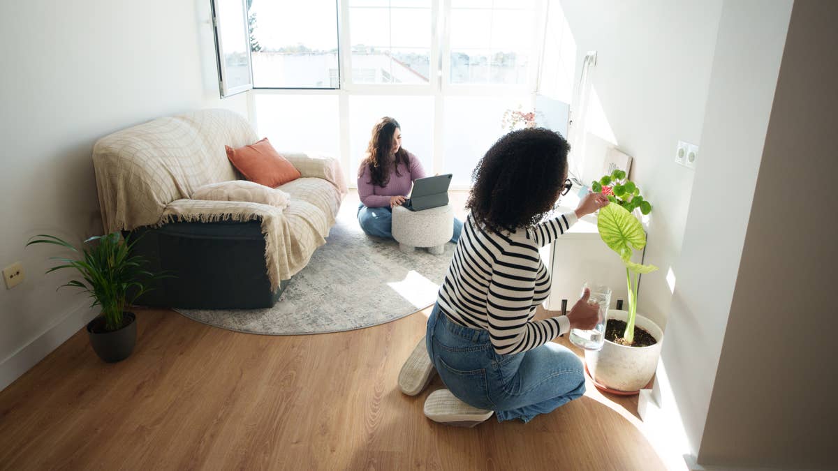 The unexpected way Americans are making suburban living more affordable