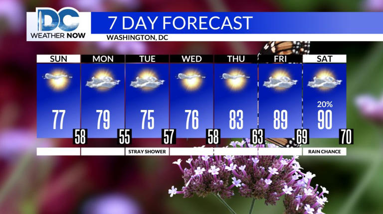 Sunny Sunday-funday, slight warm up this week