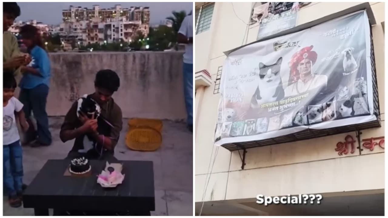 Giant billboard, live band, street dance: Mumbai man throws grand ...