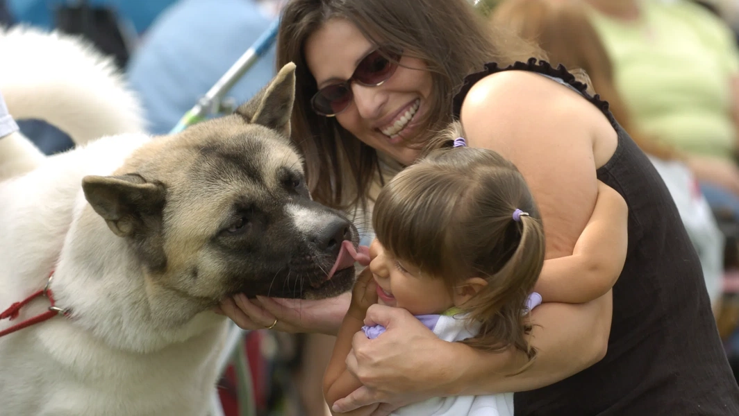 11 adorable yet demanding dog breeds